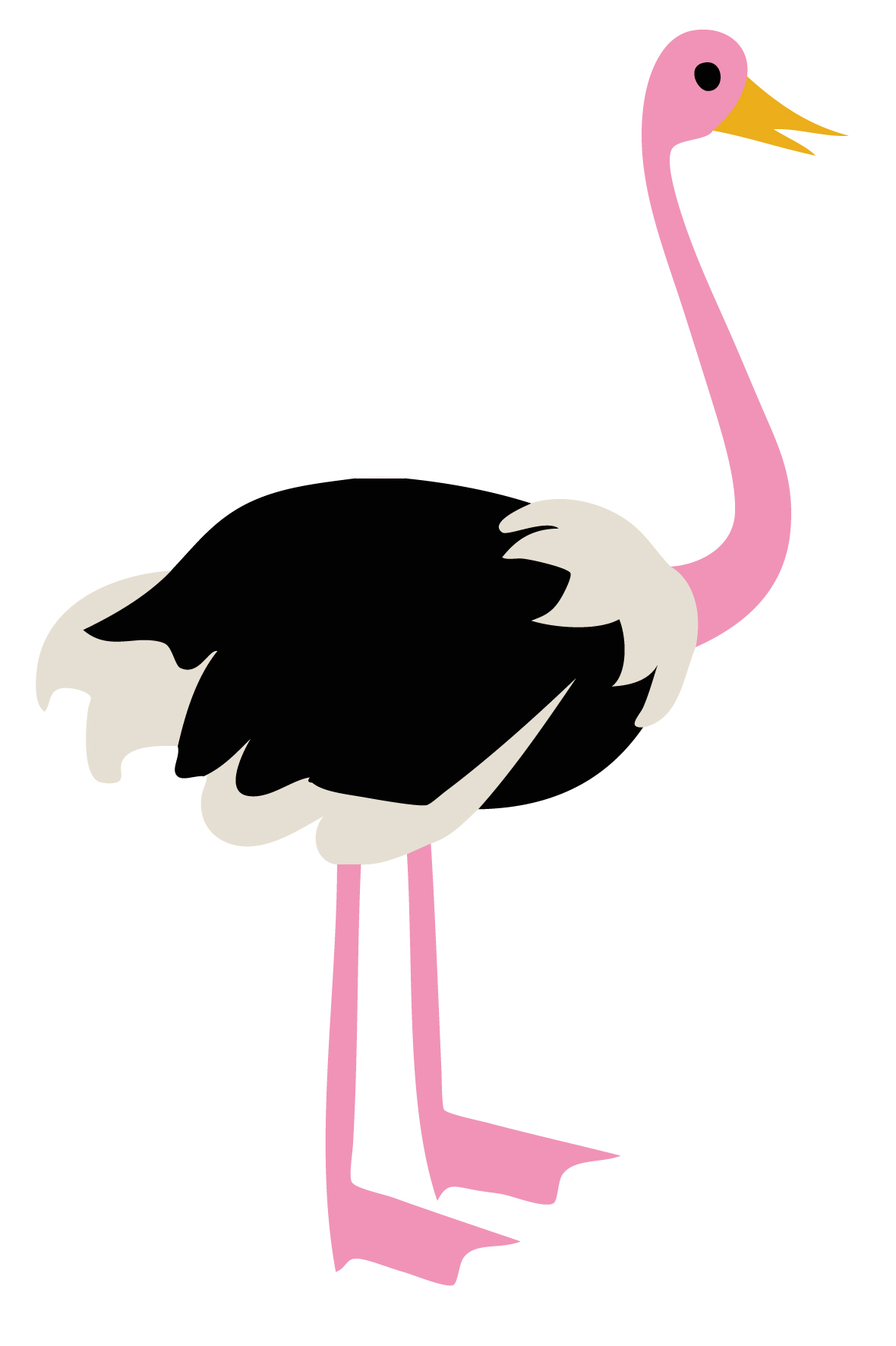 Ostrich | Free Early Years & Primary Teaching Resources (EYFS & KS1)