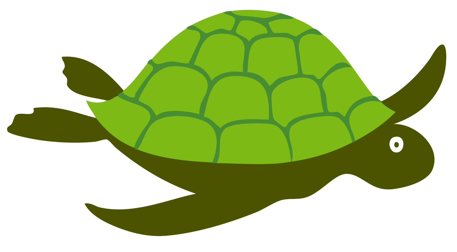 Turtle | Free Early Years & Primary Teaching Resources (EYFS & KS1)