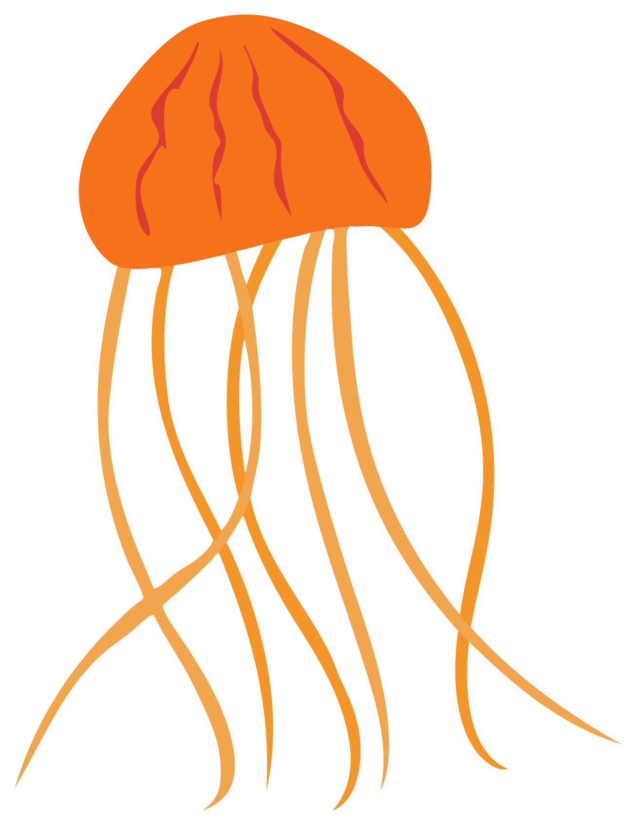 Jellyfish | Free Early Years & Primary Teaching Resources (EYFS & KS1)