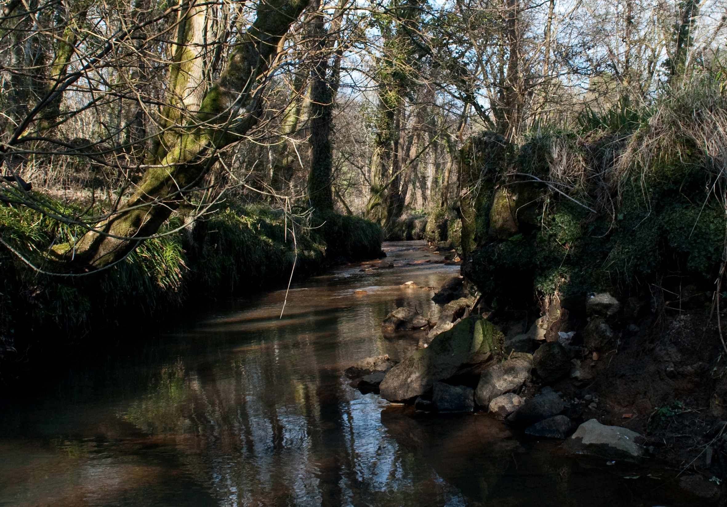 Early Learning Resources River running through the forest - Free Early Years and Primary ...