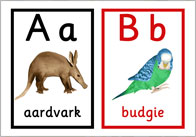 Animal Alphabet Cards - Printable Early Years Resources (EYFS & KS1 ...