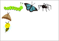 Minibeasts notepaper - Printable Early Years Resources (EYFS & KS1) for ...