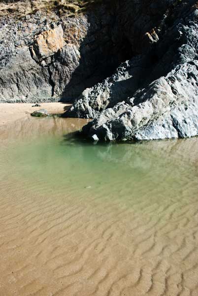 Early Learning Resources Rockpool 3 - Free Early Years and Primary ...