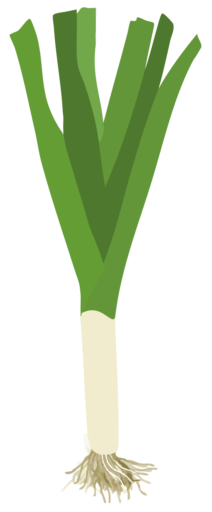 Early Learning Resources Leek - Free Early Years and Primary Teaching Resources (EYFS and KS1)