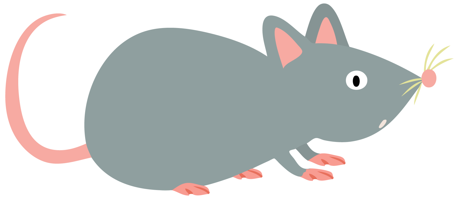 Early Learning Resources Mouse - Free Early Years and Primary Teaching ...