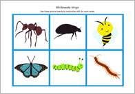 Minibeast Themed Bingo