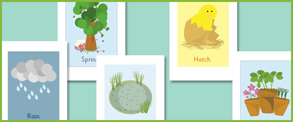 Early Learning Resources Spring Topic Word Cards