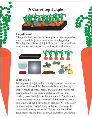 Early Learning Resources Carrot Top Jungle Activity (EYFS, KS1)