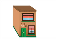 3D Model Building: Vets| Craft Activities For Kids