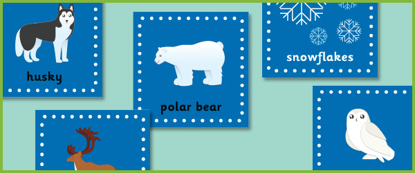 Early Learning Resources Polar Regions 15cm Cards / Bee Bot Cards