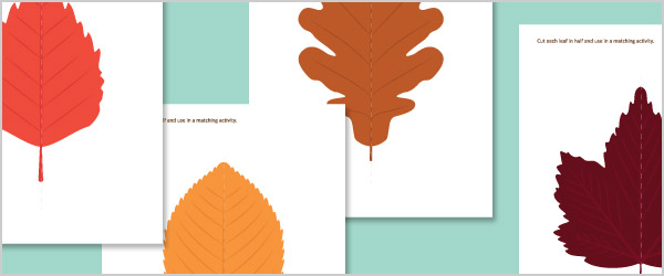 Early Learning Resources Autumn Leaves Matching Activity / Game