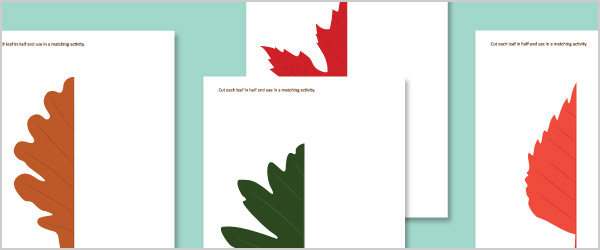 Early Learning Resources Autumn Leaves Symmetrical Mirror Pictures