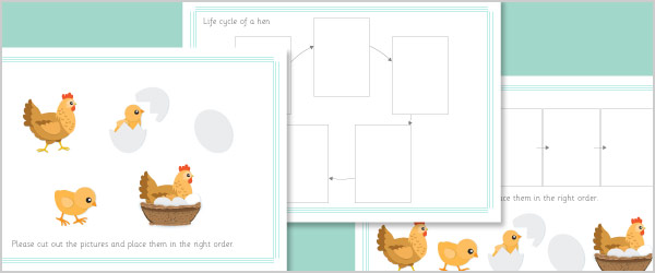 Early Learning Resources Life Cycle of a Hen Cut and Stick Activity