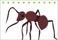 Minibeast / Insects A4 Posters