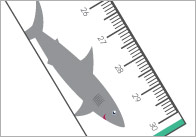 Under the Sea Printable Rulers