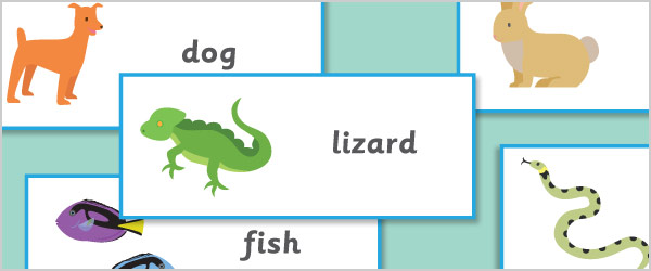 Early Learning Resources Pets Topic Cards