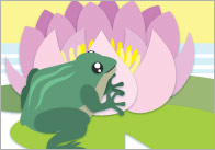 Frog Life Cycle Page Border