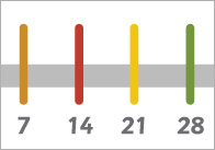 Counting in 7s Number Line Banner