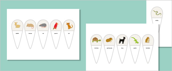 Early Learning Resources Editable Pet Fans - Free Early Years and ...