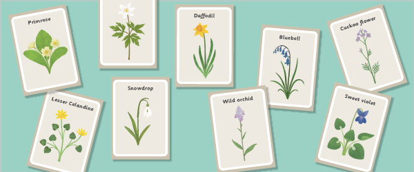 Early Learning Resources Spring Flower Cards - Free Early Years and ...