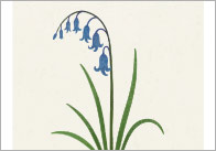 Spring Flower / Botanical Posters - Printable Early Years Resources ...