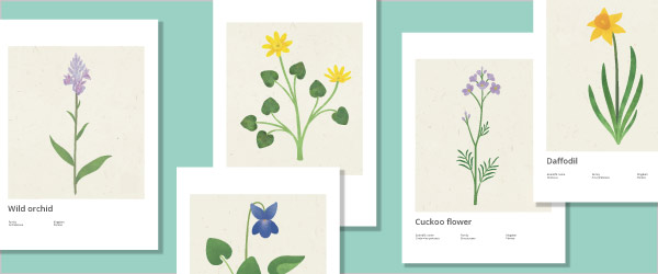 Early Learning Resources Spring Flower / Botanical Posters - Free Early ...