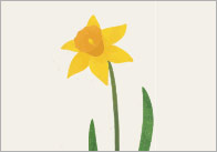 Daffodil Editable Poster - Printable Early Years Resources (EYFS & KS1 ...