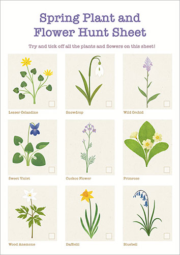 Early Learning Resources Spring Plant & Flower Hunt Activity Sheet ...