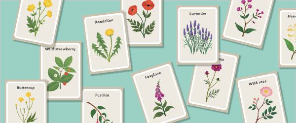 Early Learning Resources Summer Flower Cards - Free Early Years and ...