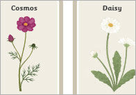 Summer Flower Cards - Printable Early Years Resources (EYFS & KS1) for ...