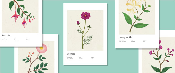 Early Learning Resources Summer Flower / Botanical Posters - Free Early ...