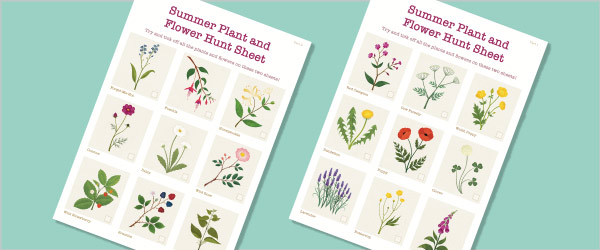 Early Learning Resources Summer Flower Hunt Activity Sheets - Free ...