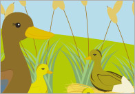 Ugly Duckling Spot The Difference - Printable Early Years Resources ...