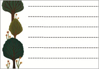 Little Red Riding Hood Notepaper / Page Borders - Printable Early Years ...