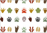 Zoo Animal Footprint Repeating Pattern - Printable Early Years ...