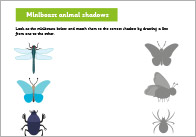 Minibeasts Shadow Matching Activity - Printable Early Years Resources ...