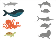 Under The Sea Shadow Matching Activity - Printable Early Years ...