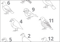 Birds Role, Add & Colour Maths Game - Printable Early Years Resources ...