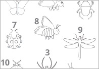 Minibeast Role, Add & Colour Maths Game - Printable Early Years ...